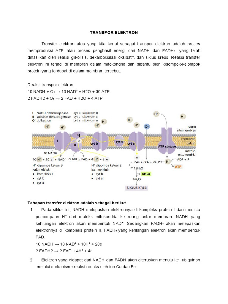Transpor Elektron 1 | PDF