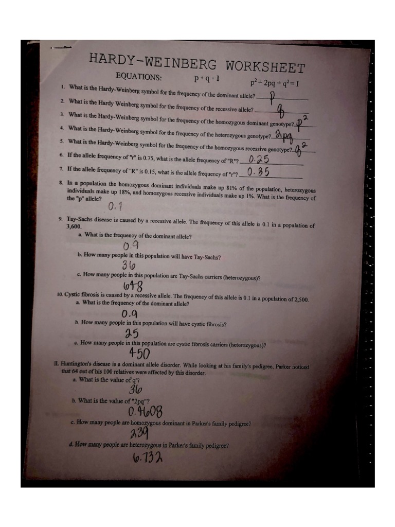 Hardy-Weinberg Worksheet | PDF