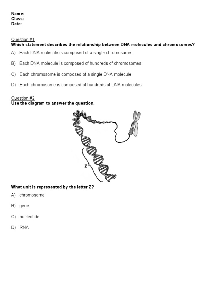 Review Bell ringer-DNA - RNA-Relication-Protein Synthesis April 12th ...