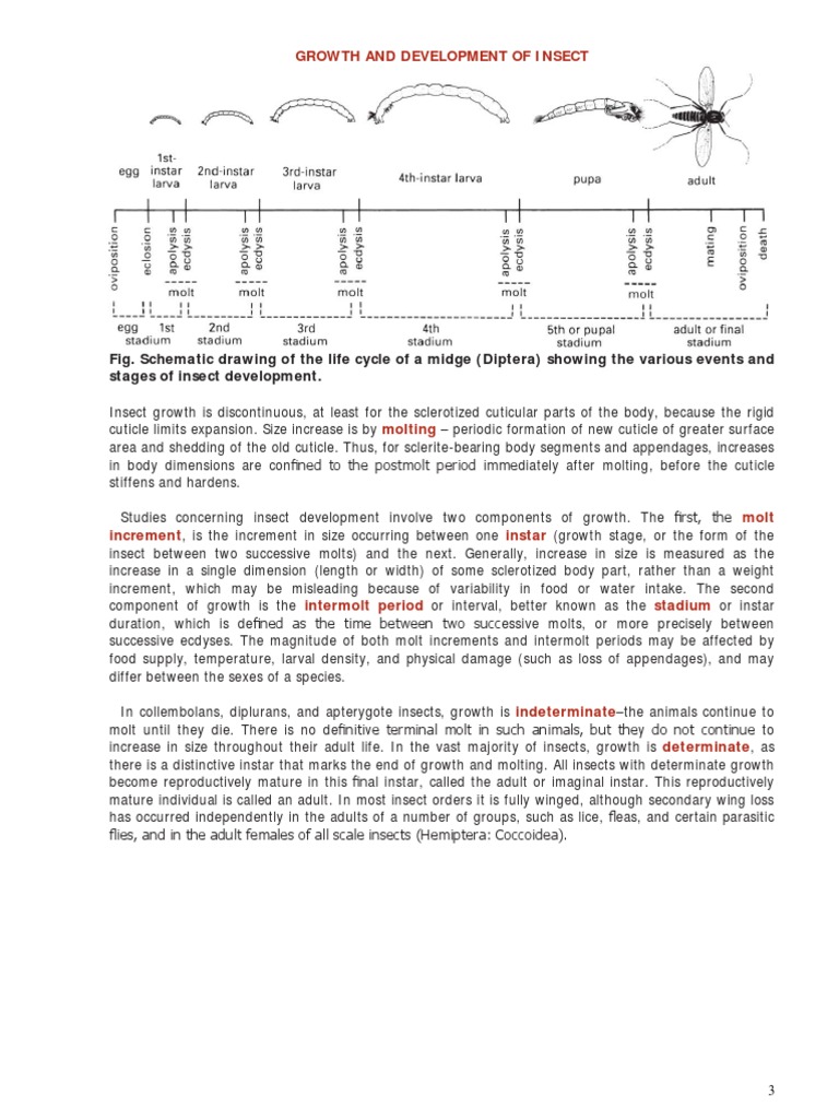 Insect Growth and Development | PDF