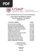 Arco de Riolano | PDF | Tinción | Anatomía