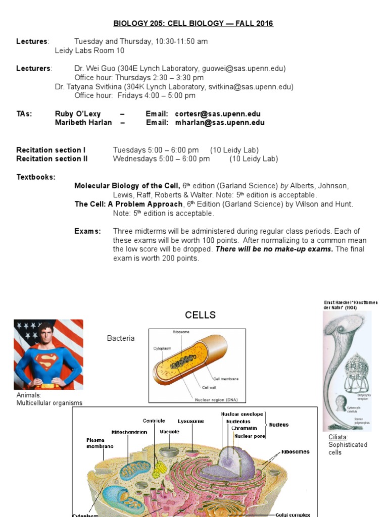 Cell Biology Course Overview Fall 2016 | PDF | Cell Membrane | Lipid