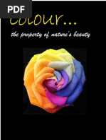 Color Theory Test - Answer Key | PDF | Magenta | Yellow
