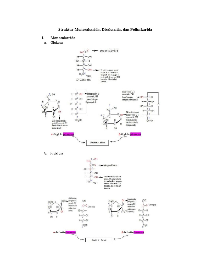 Struktur Monosakarida | PDF