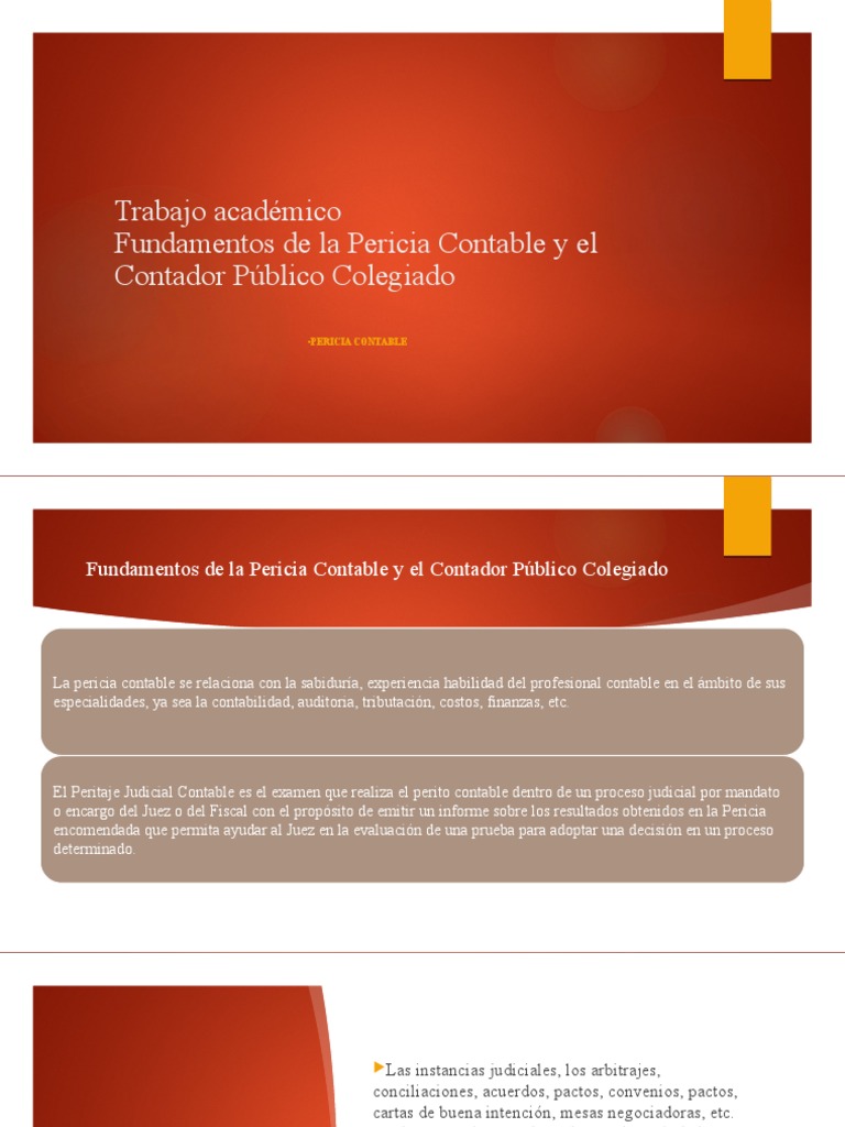 Pericia Contable en Procesos Judiciales | PDF
