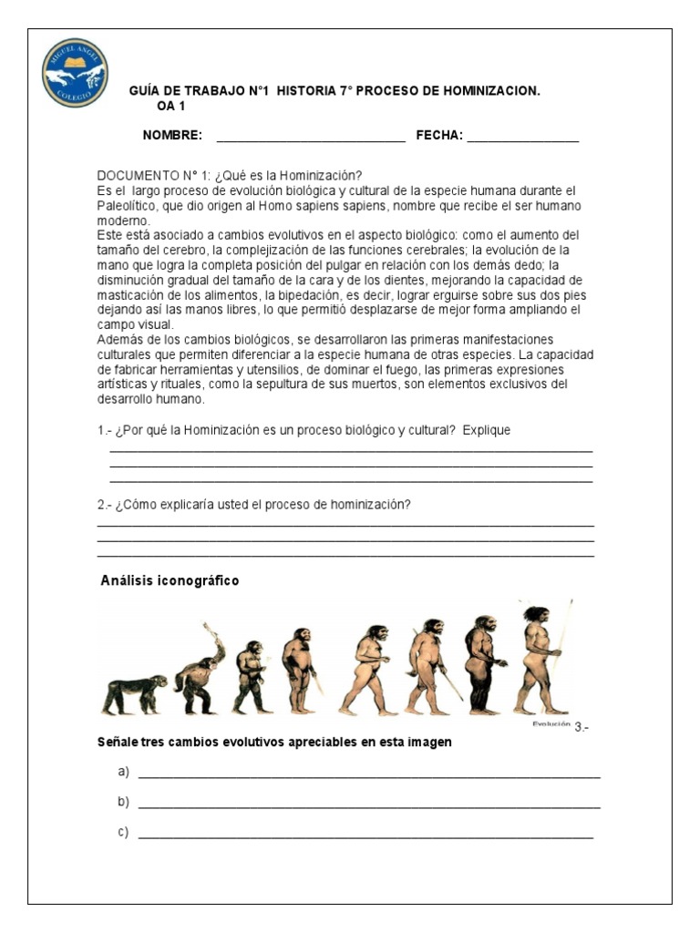 Guía #1 Historia 7° Proceso de Hominización | PDF