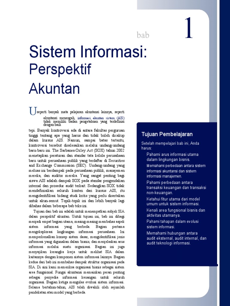 Chapter 1 The Information System An Accountant's Perspective | PDF