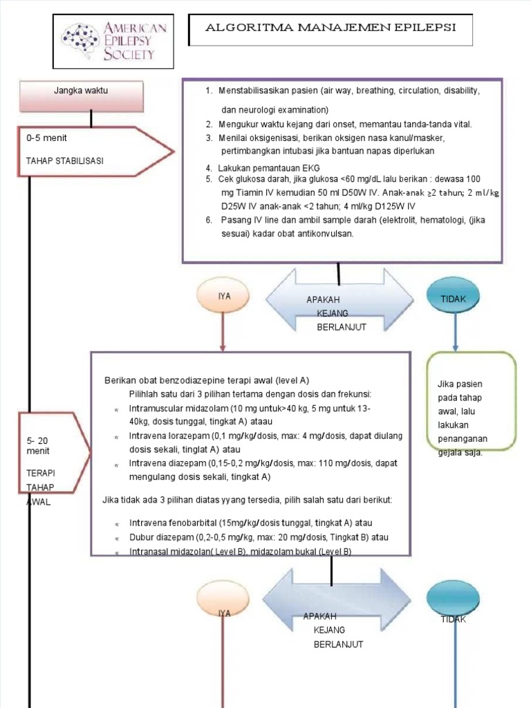 Algoritma Manajemen Status Epileptikus | PDF