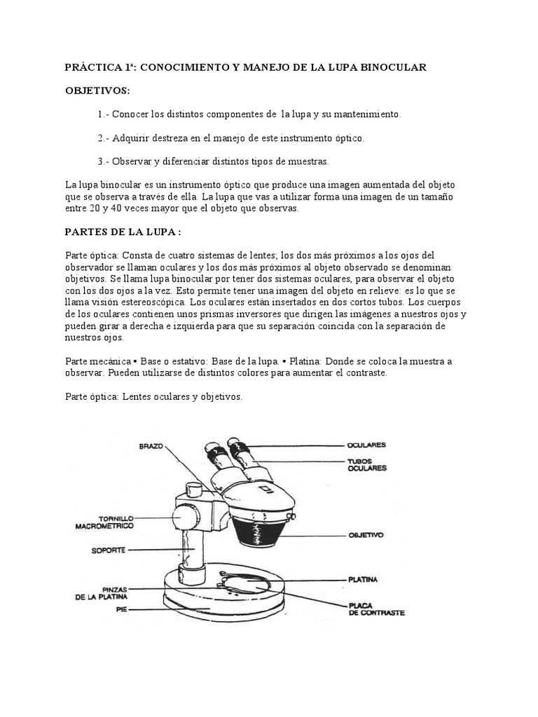 Partes y uso de la lupa binocular | PDF | Óptica | Naturaleza
