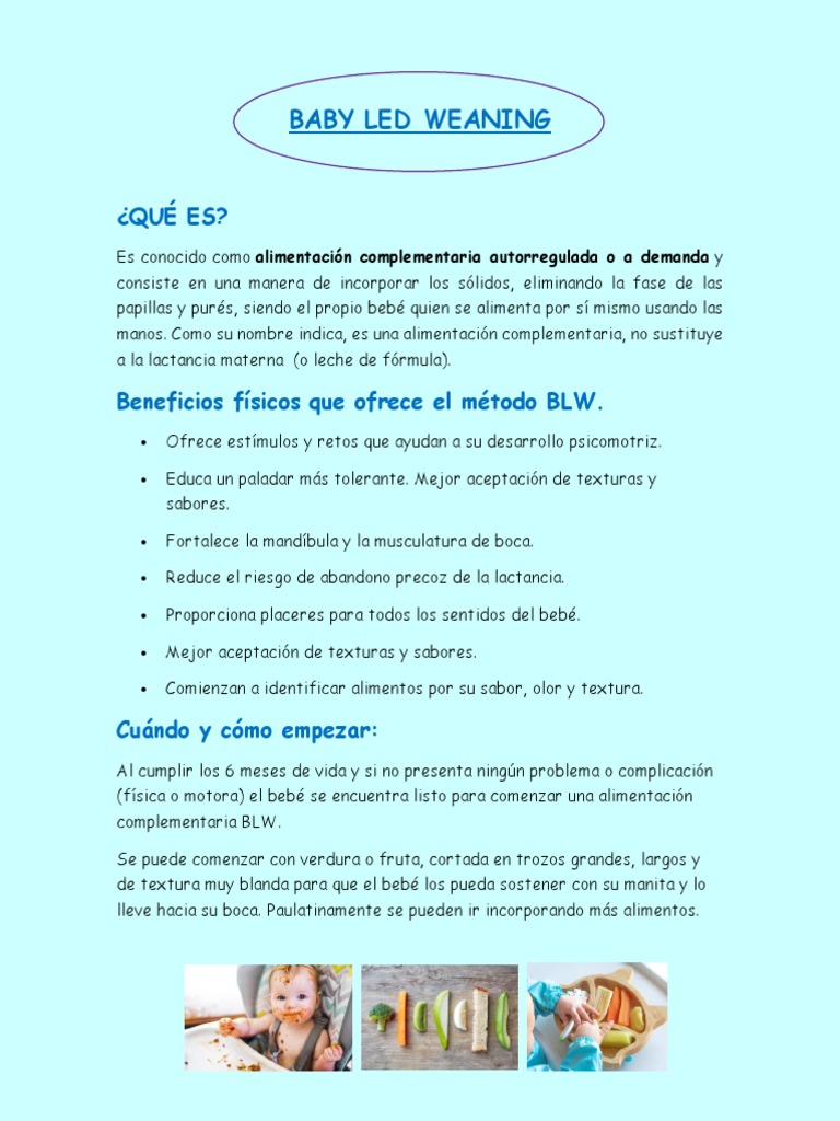 Baby Led Weaning | PDF