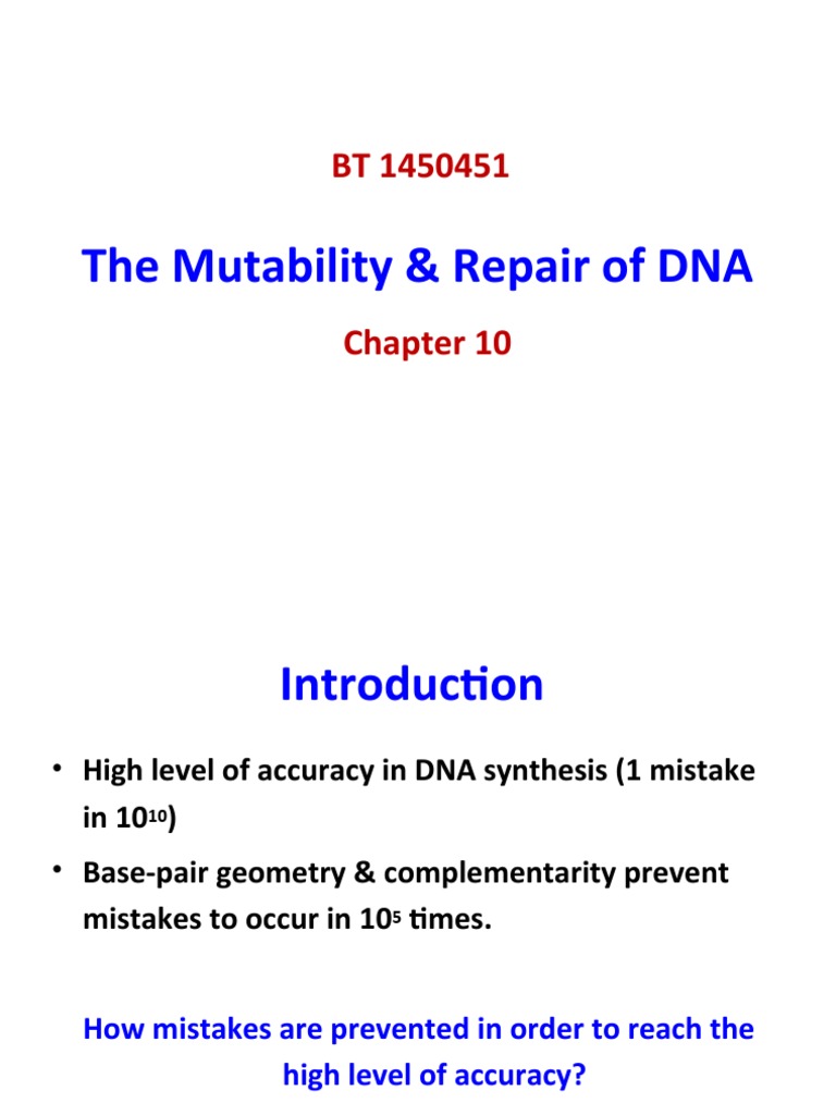 10-The Mutability & Repair of DNA | PDF