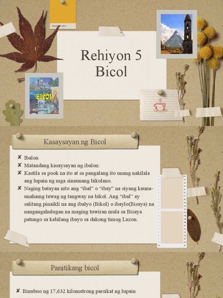 Region 5 Bicol | PDF