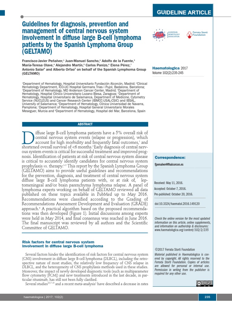 Guideline GELTAMO CNS Lymphoma | PDF