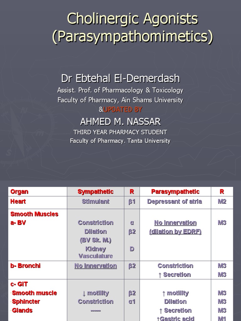 Cholinergic Agonists (Parasympathomimetics) | PDF | Acetylcholine | Drugs