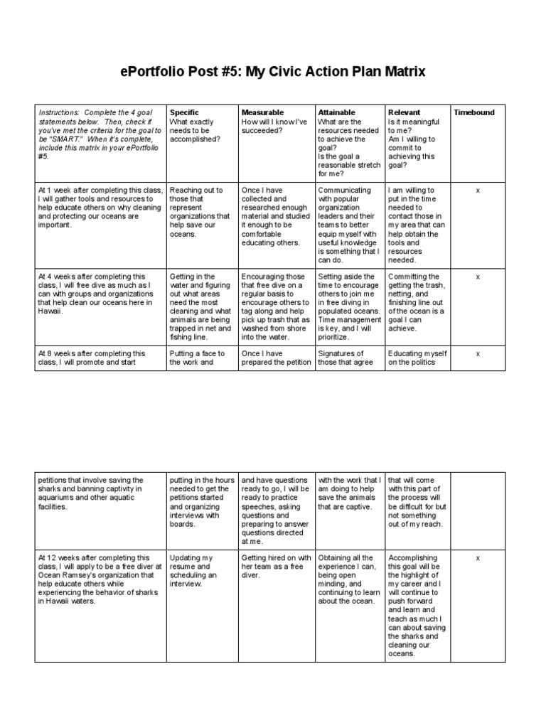 Final Post 5 My Civic Action Plan Matrix | PDF | Goal | Business