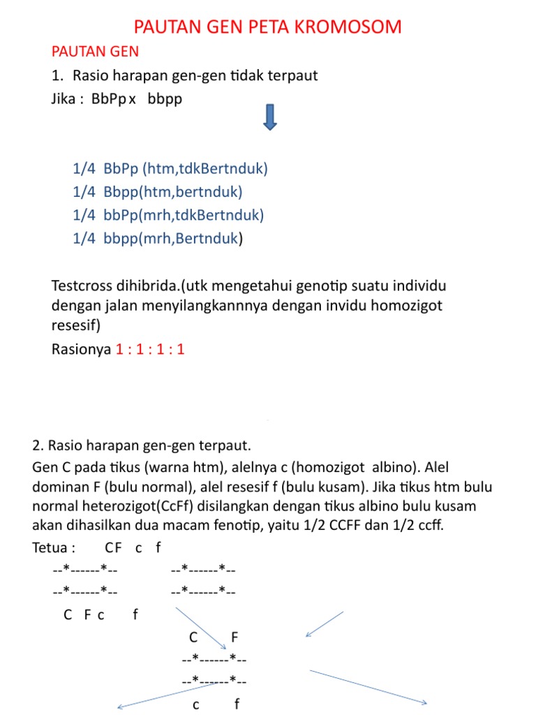 Pautan Gen Peta Kromosom | PDF