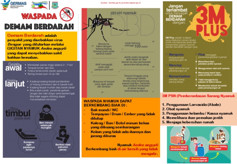Leaflet DBD | PDF
