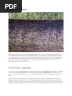 TANAH - Tanah Grumosol | PDF