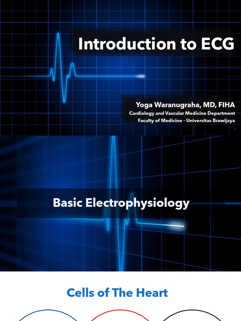 ECG Course - Introduction To ECG | PDF | Electrocardiography | Internal ...