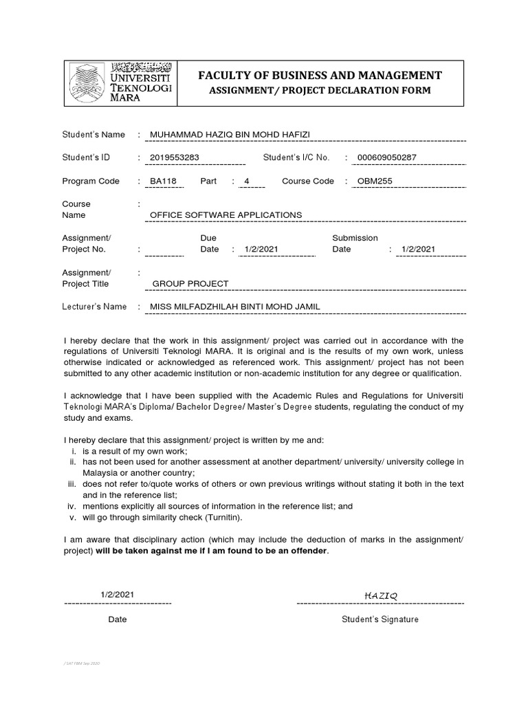 BLANK Assignment Project Declaration Form | PDF