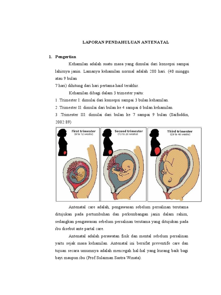 LP Maternitas Kehamilan Normal | PDF