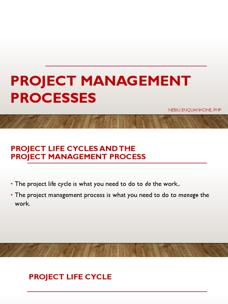 Project Management Process V2 | PDF | Project Management | Economies