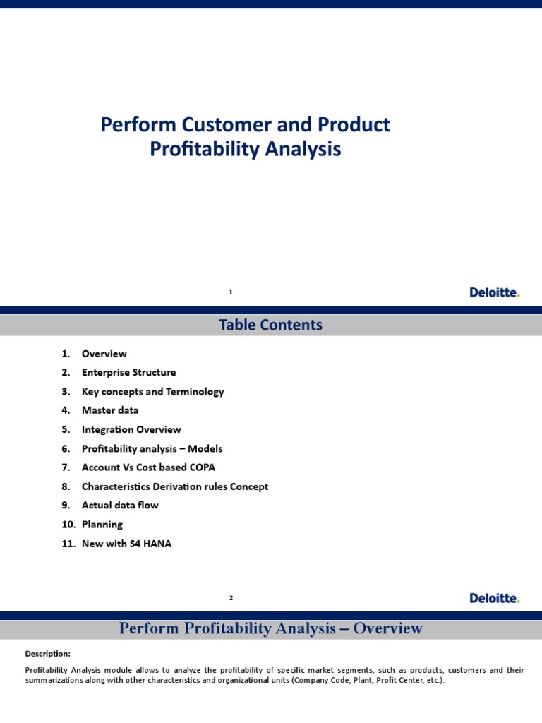 Perform Customer and Product Profitability Analysis | PDF | Sales ...