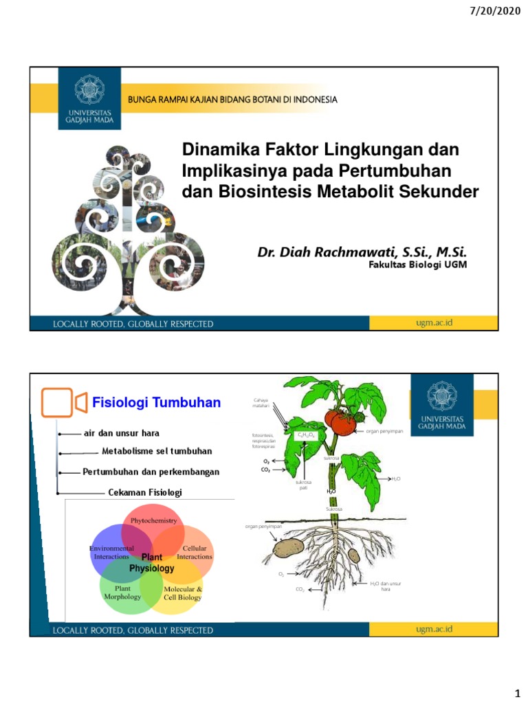 Materi Narasumber 1 - Dr. Diah Rachmawati M.Si - . | PDF