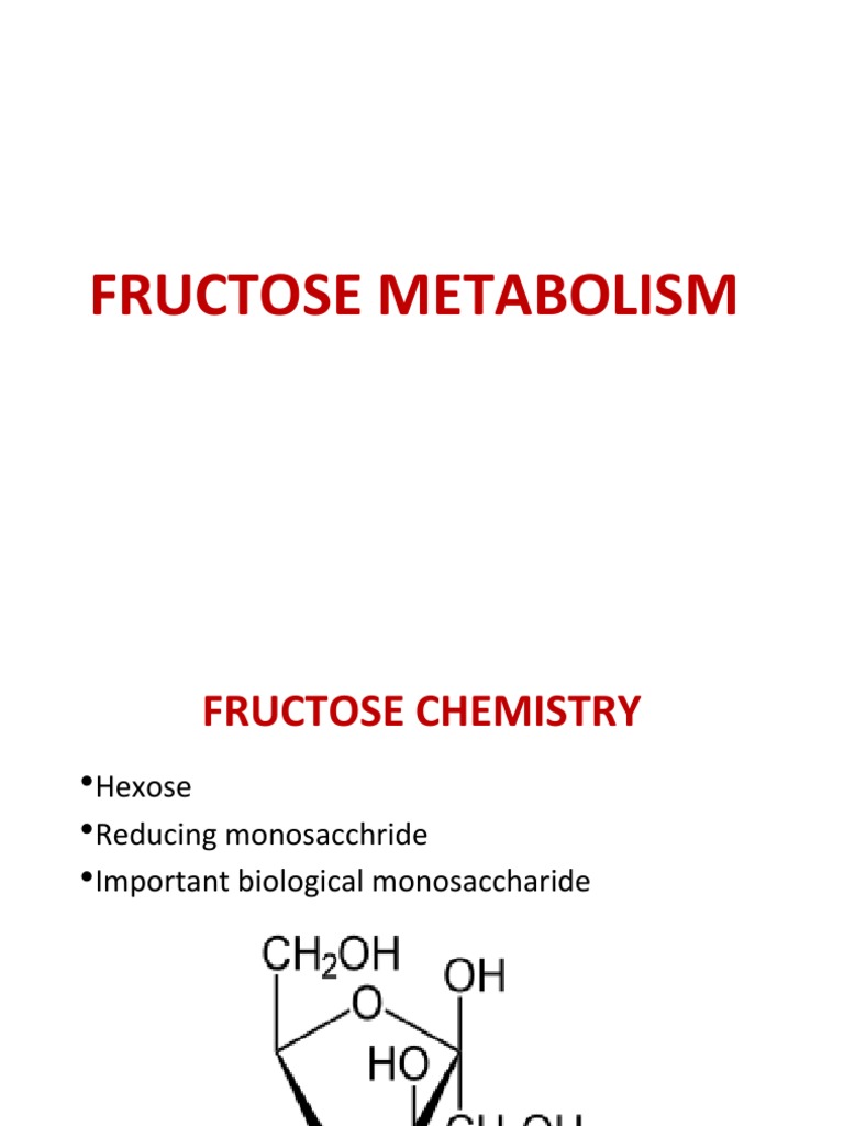 12 Fructose Metabolism | PDF | Fructose | Glycolysis