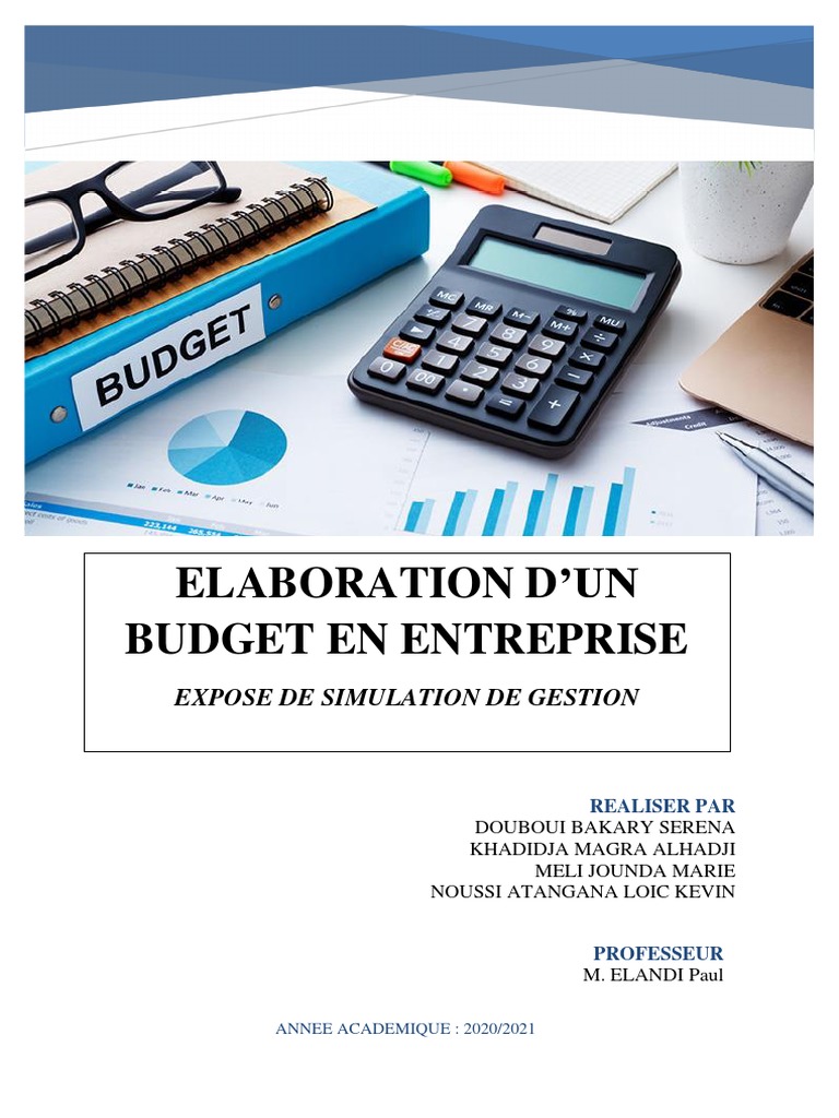 Introduction Budget | PDF | Budget | Sociétés