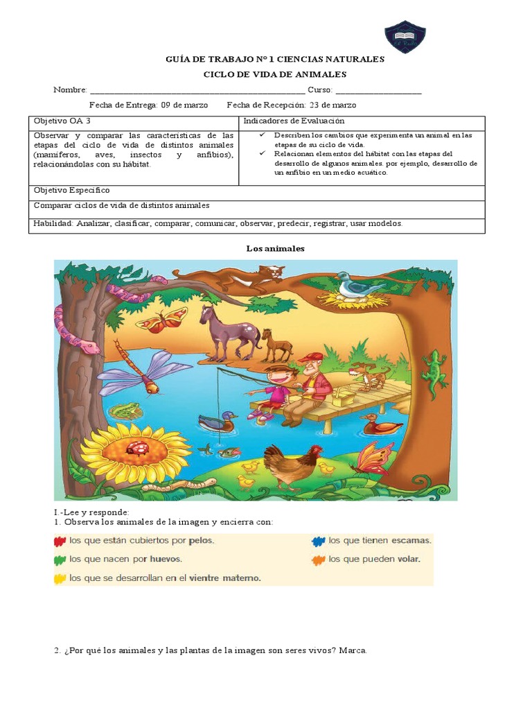 Guía 3° Básico N°1 Ciencias Naturales, Ciclo de Vida de Los Animales ...