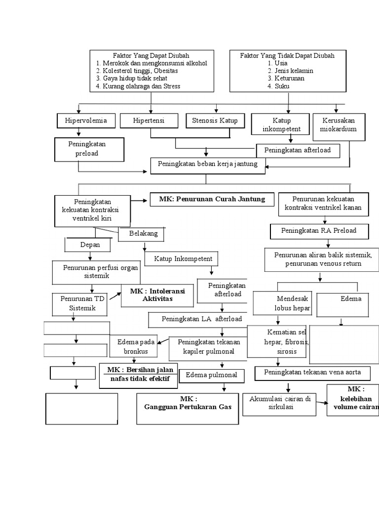 Pathway Jantung | PDF
