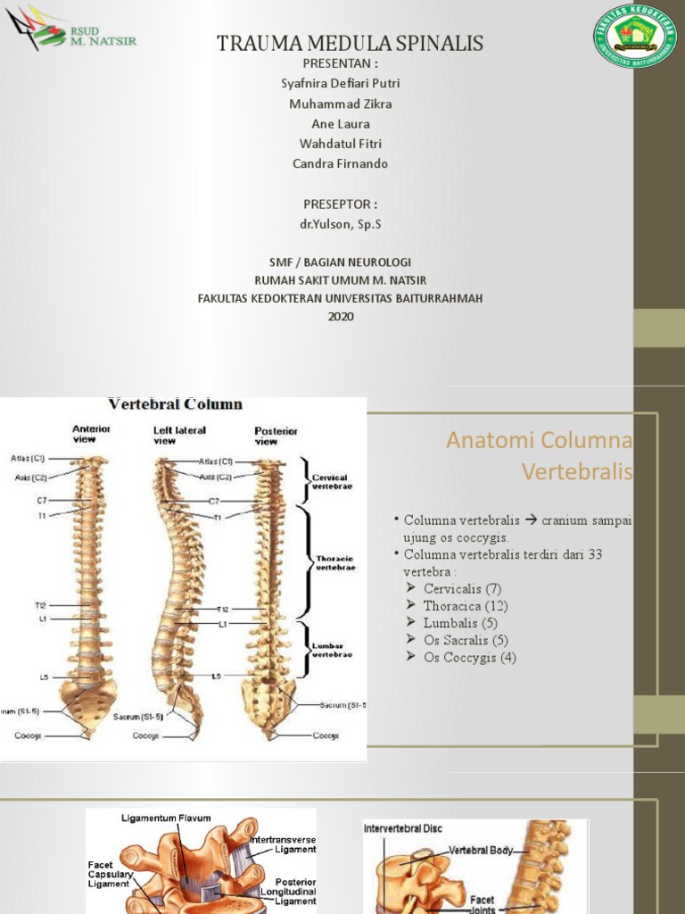 Trauma Medula Spinalis | PDF