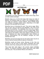 Classroom Butterfly Camouflage Activity | PDF | Camouflage | Mimicry