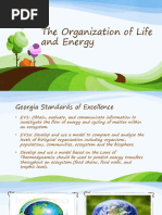 Basic Ecological Concepts and Principles | PDF | Ecology | Ecosystem