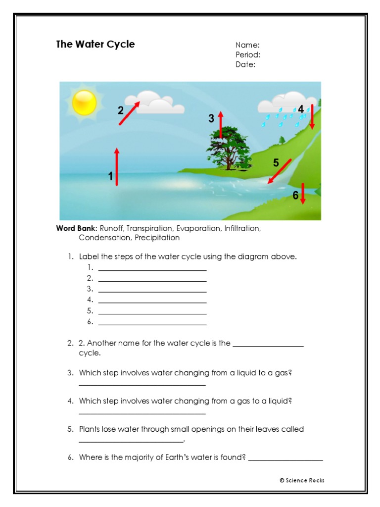 The Water Cycle: Word Bank: Runoff, Transpiration, Evaporation ...