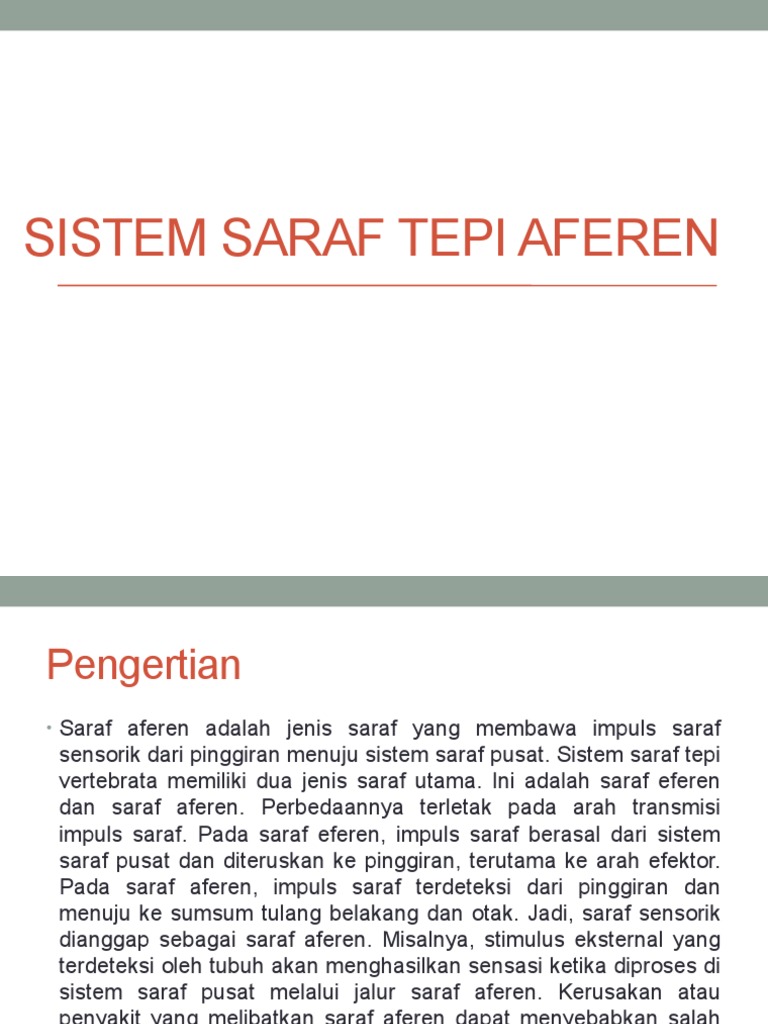 Sistem Saraf Tepi Aferen | PDF