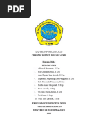 Pathway CKD Sdki | PDF