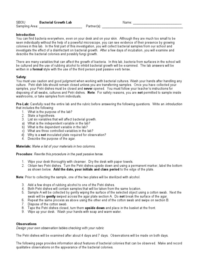 High School Bacteria Lab Guide | PDF | Bacteria | Science