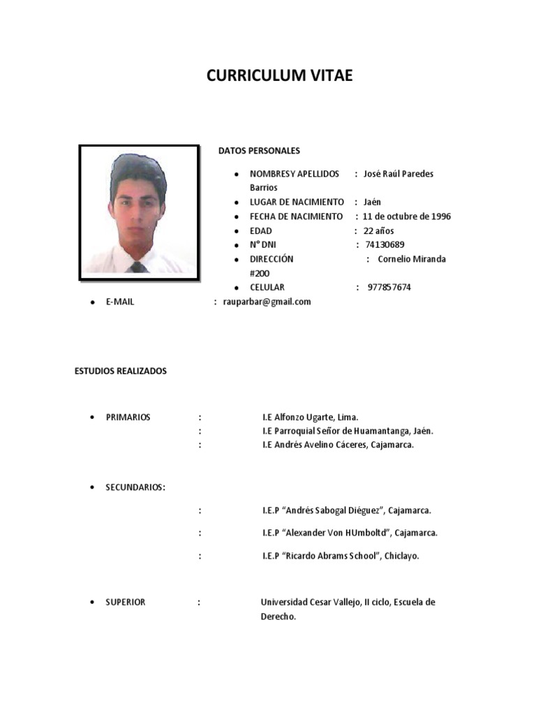 Curriculum - Vitae Raul | PDF