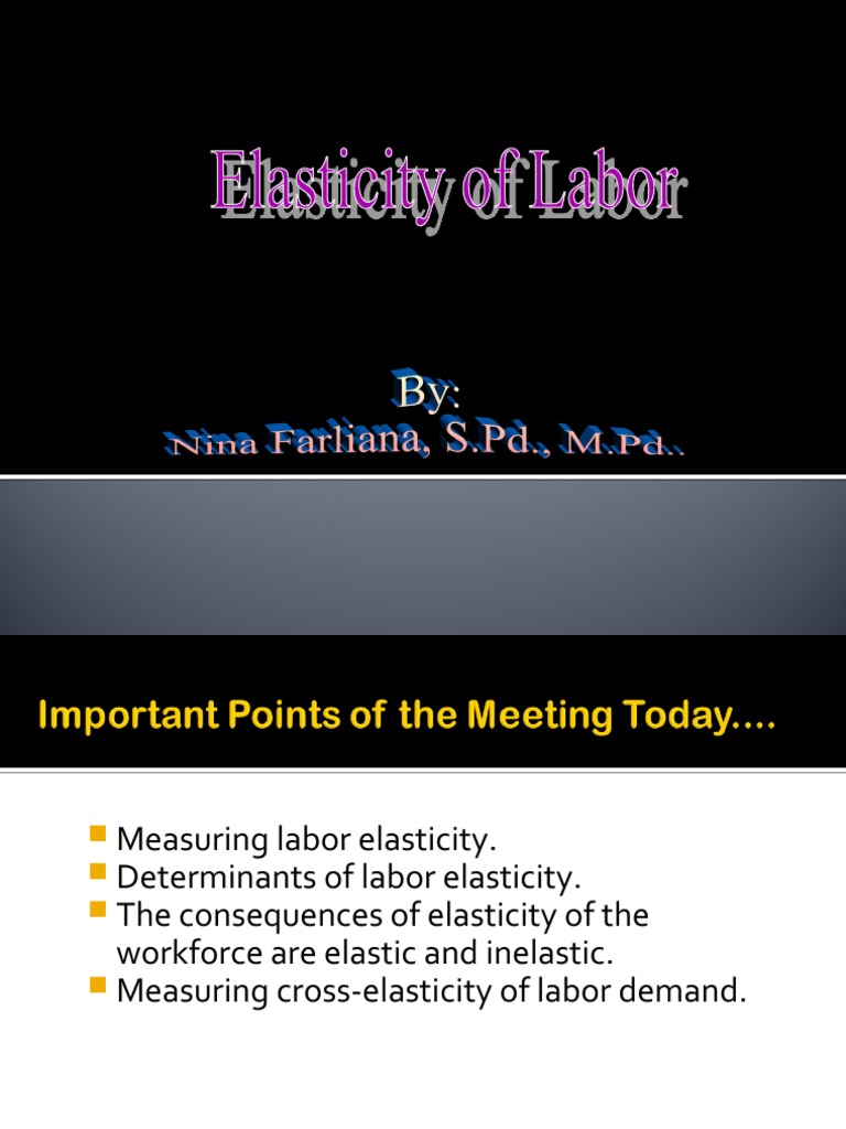 Labor Elasticity New | PDF | Labour Economics | Elasticity (Economics)