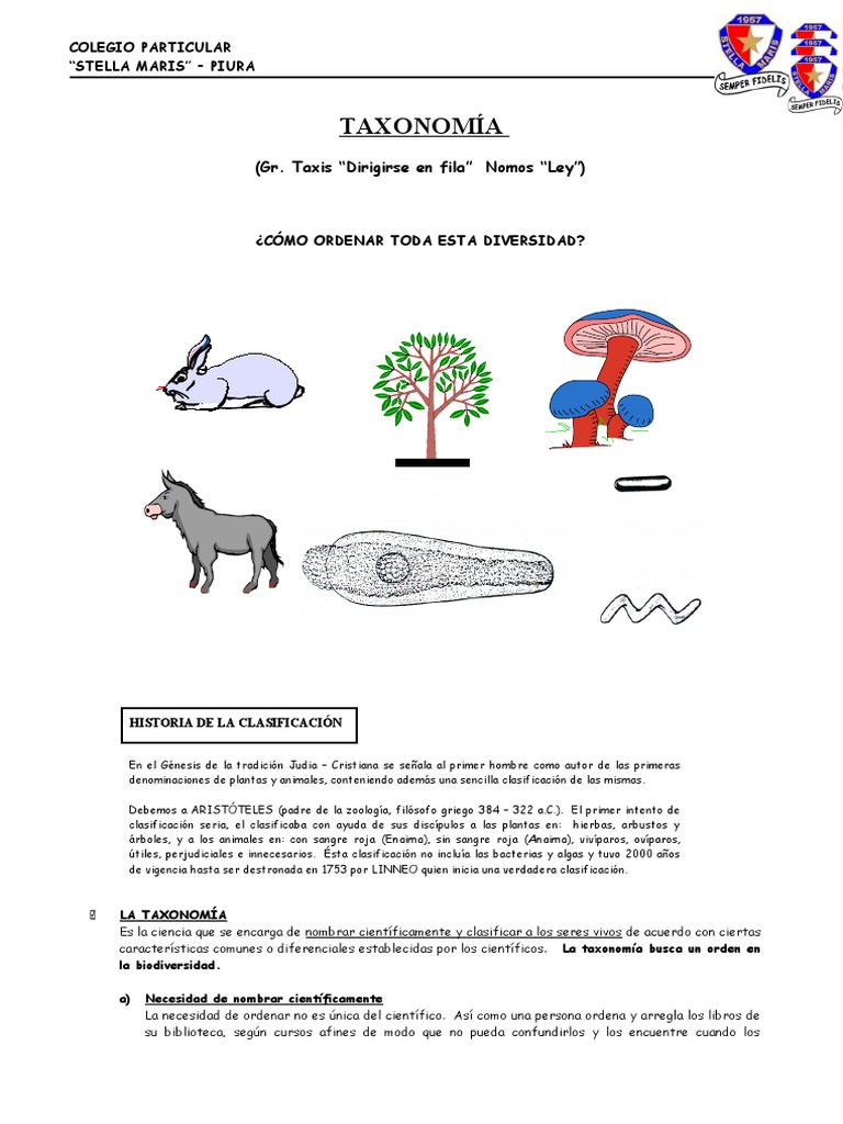 Clasificacion de Los Seres Vivos | PDF | Taxonomía (biología) | Taxón