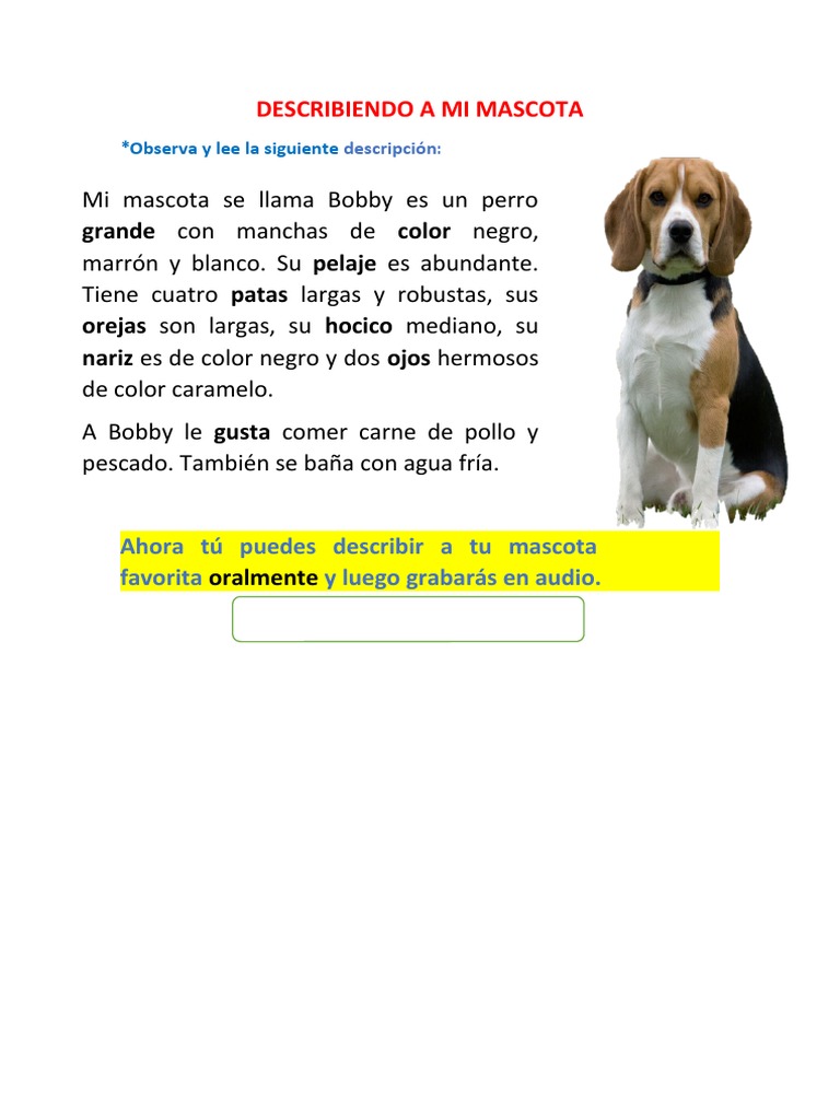 Descripción de Mi Mascota Bobby | PDF