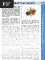 Beekeeping Training Manual | PDF | Honey Bee | Beehive