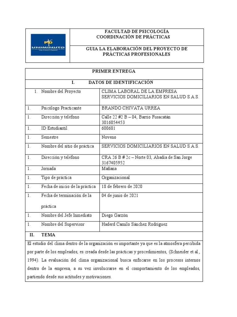 Proyecto de Vida Brandon | PDF | Psicología industrial y organizacional | Empresas