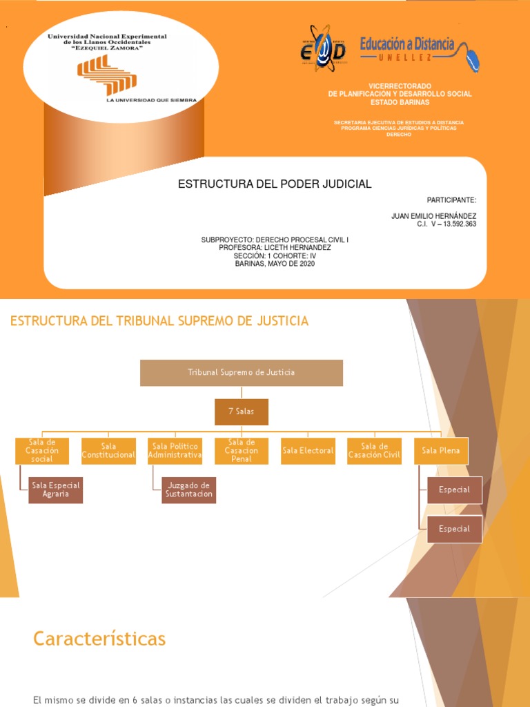 Estructura Del Poder Judicial Juan Emilio | PDF | Jurisdicción | Juez