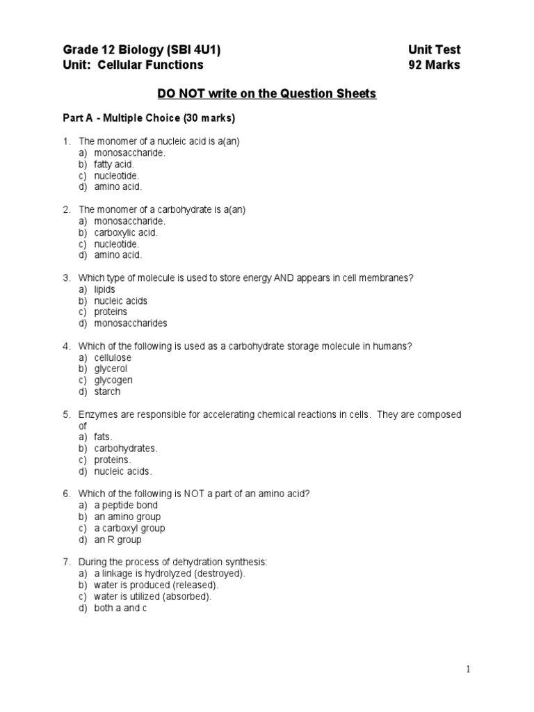 Sbi4u1 - Biochemistry Unit Test 2010 | PDF | Cellular Respiration ...