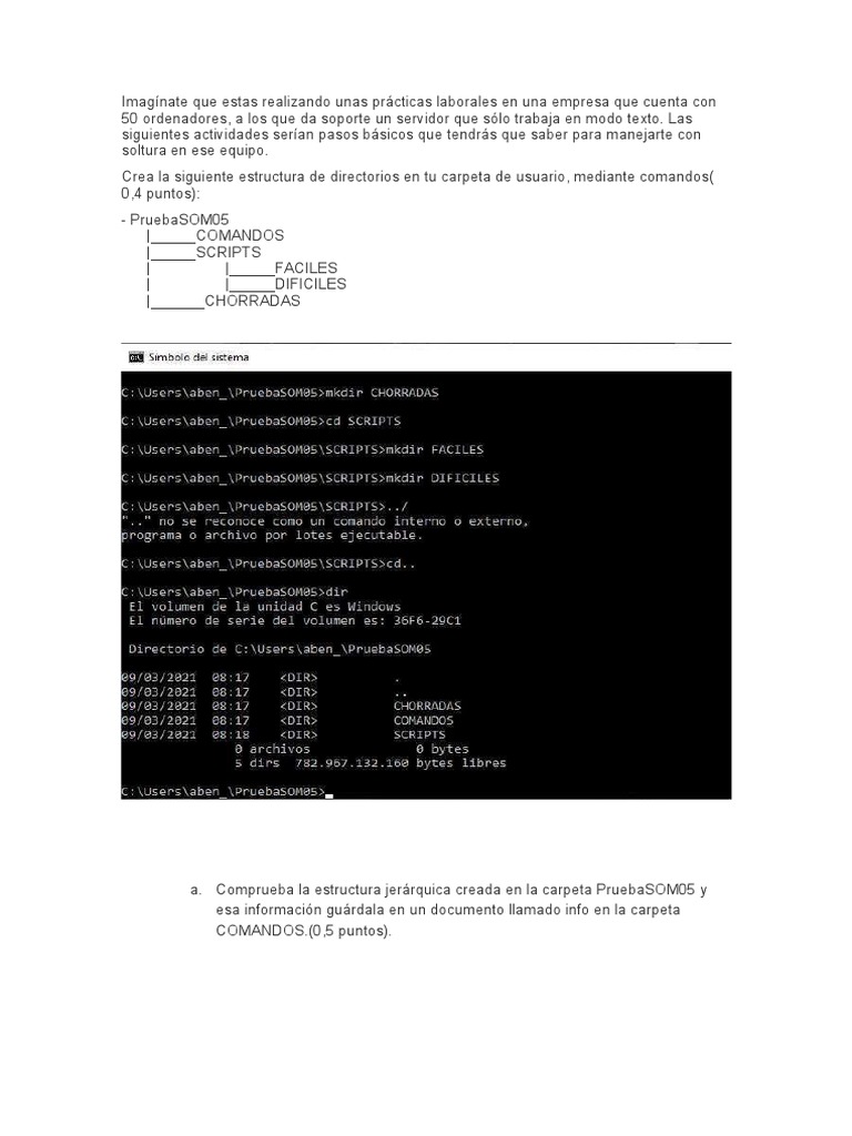 Tarea Som 5 Con El Primer Script Hecho | PDF