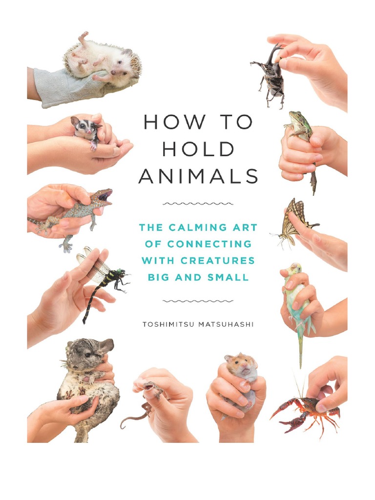 How To Hold Animals by Toshimitsu Matsuhashi Angus Turvill | PDF