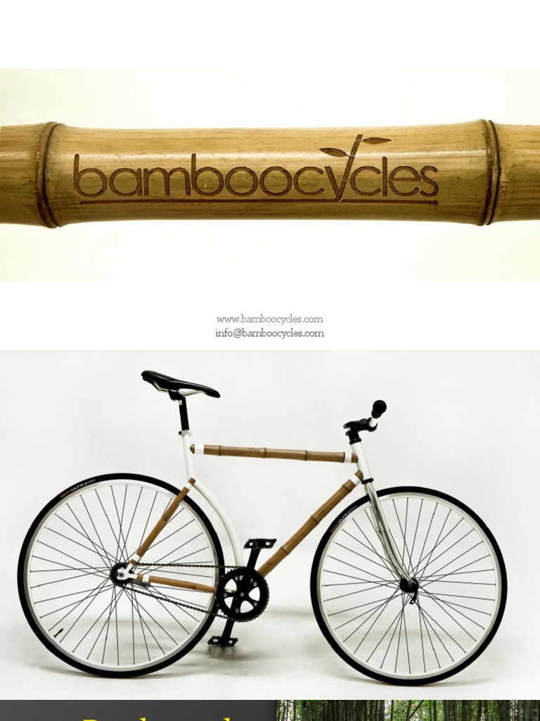 BAMBOOCYCLES Ok | PDF | Acero | Naturaleza